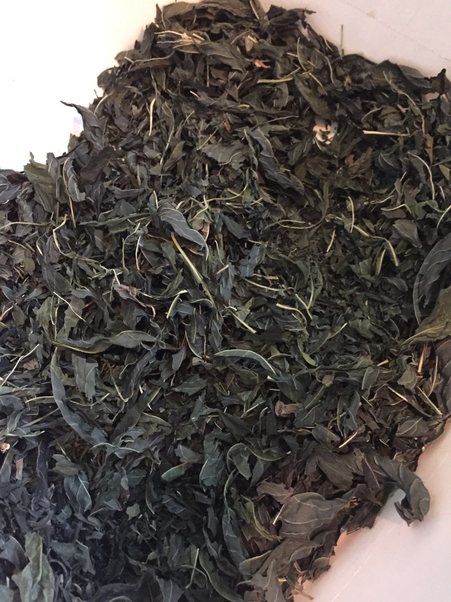 Dried Leaf Japanese Indigo Process – Take 1 | debmcclintock